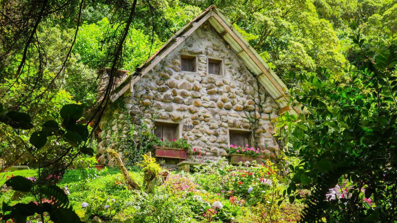 The Sacred Forest - SuNica